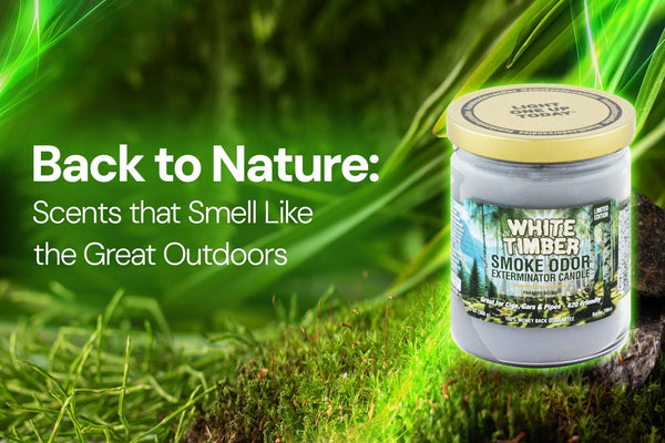 Best Nature-Inspired Scents for a Fresh Home