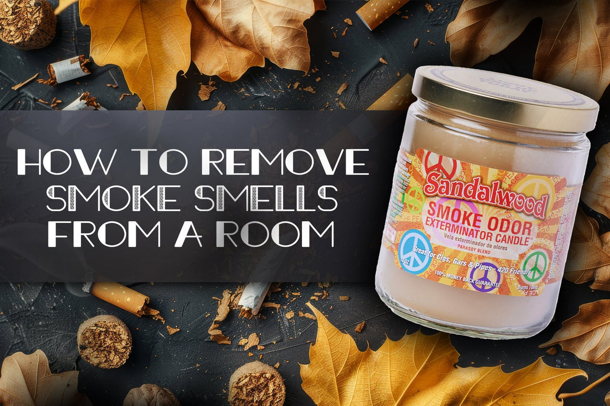 How to Remove Smoke Smell from Car & Clothes Instantly - Nothing But Scents