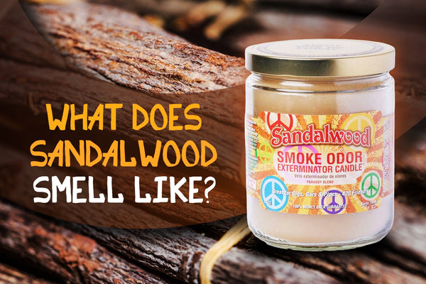 What Does Sandalwood Smell Like? Scent Profile & Benefits